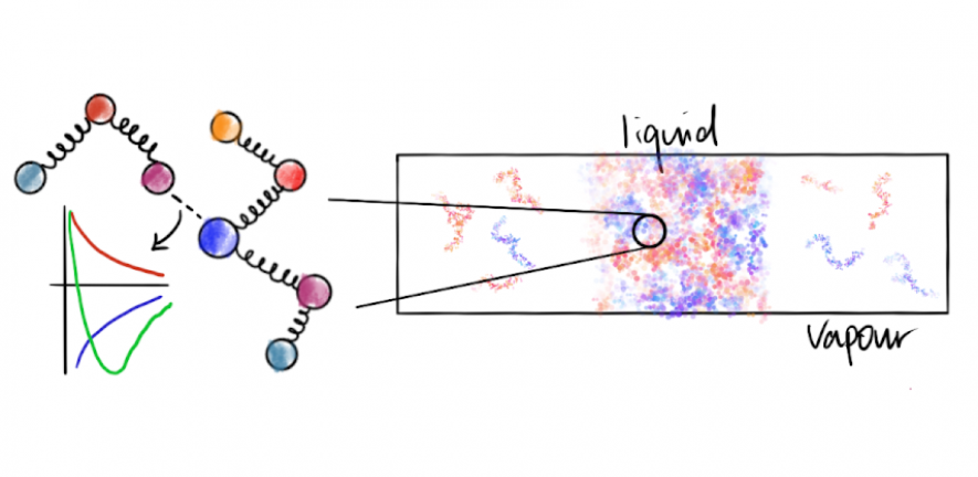 Phase separation in biological systems | The Reinhardt Group